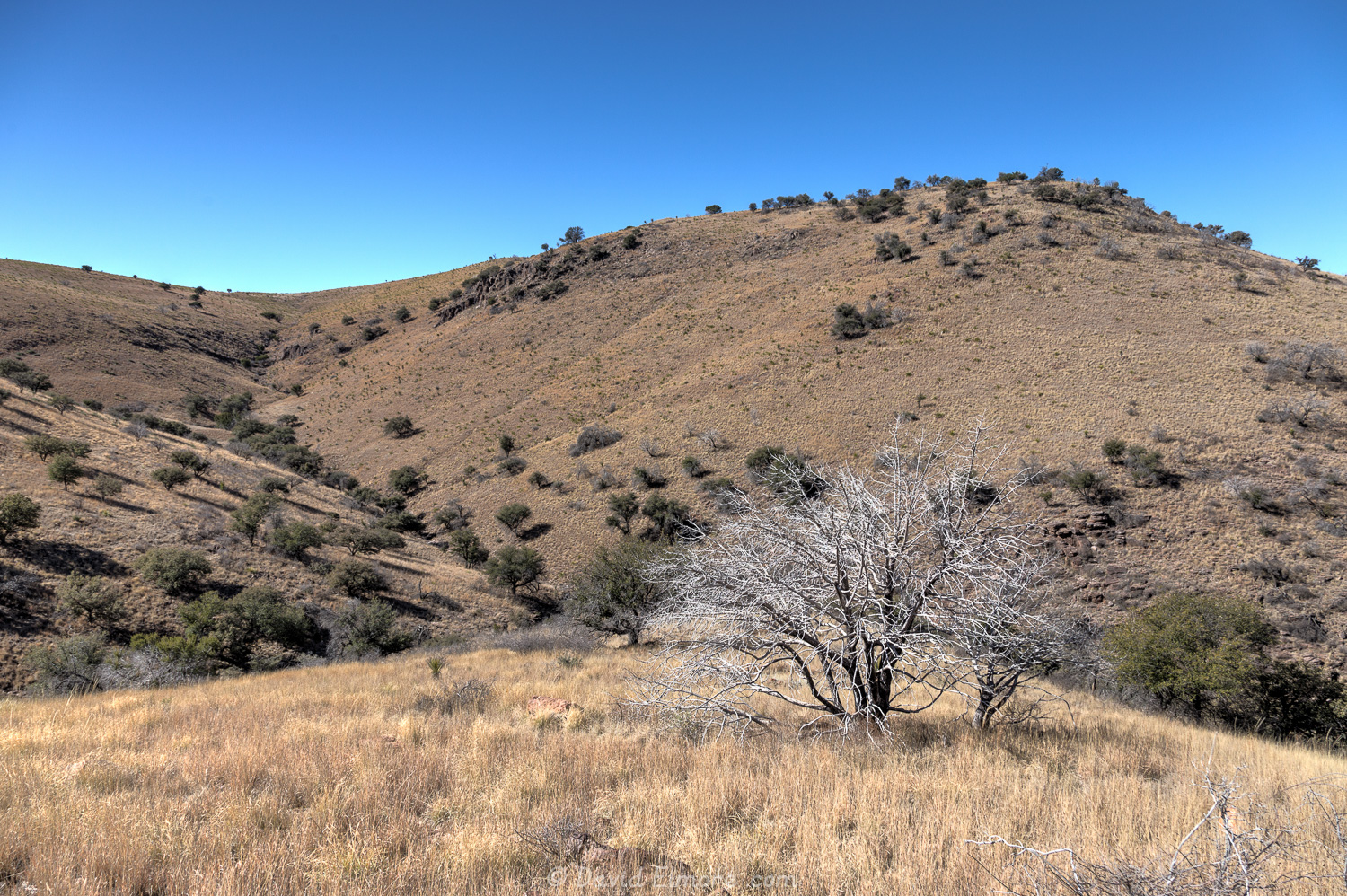 Davis Mountains State Park | David, Janet, and Vanessa
